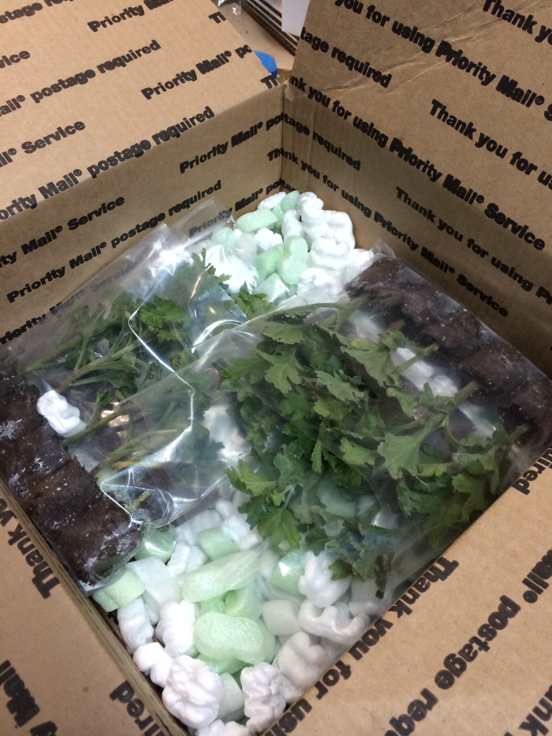 Order Information – KingsMums LLC